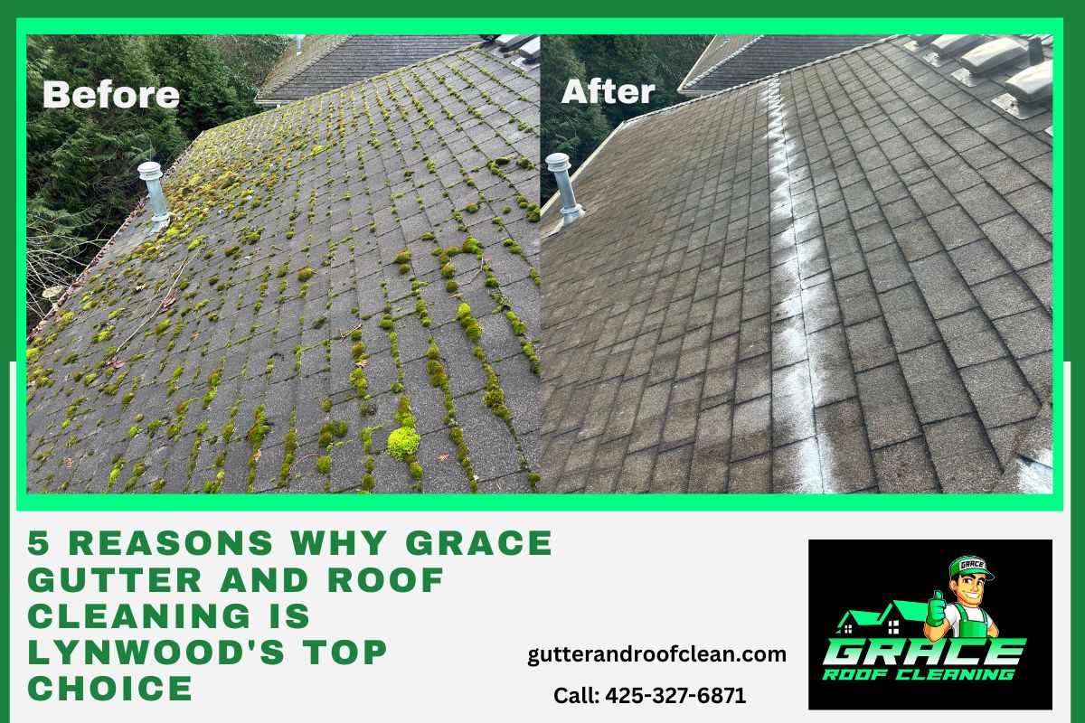Grace Gutter and Roof Cleaning | Lynwood's Top Choice for Expert Services